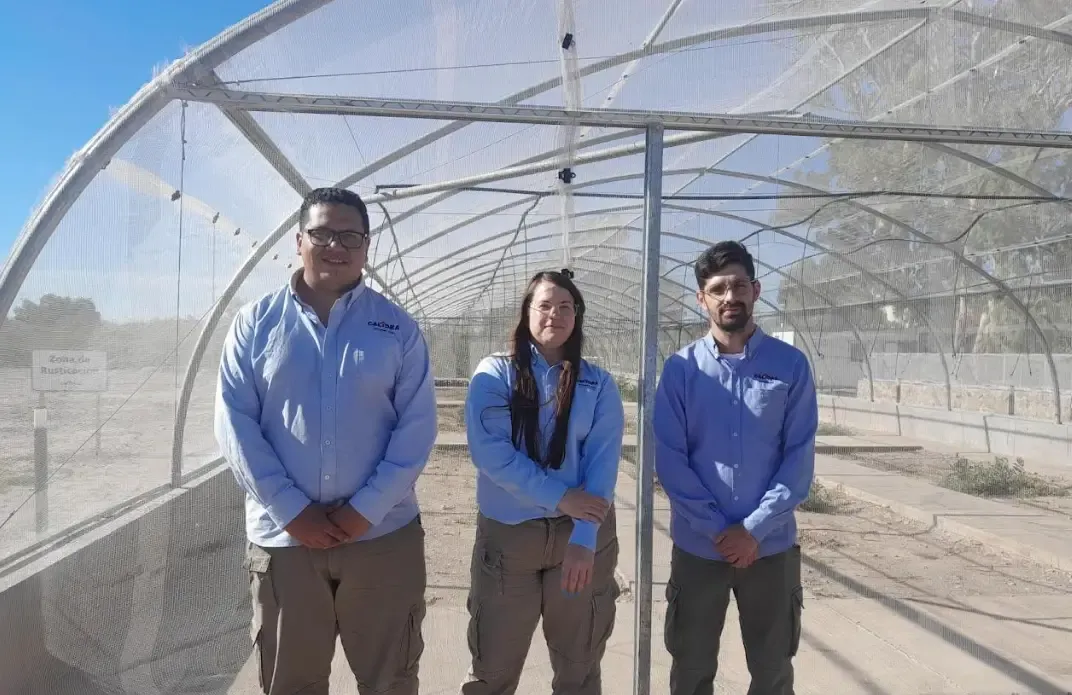 Grupo Calidra Announces Native Flora Restoration Project in San Juan ...